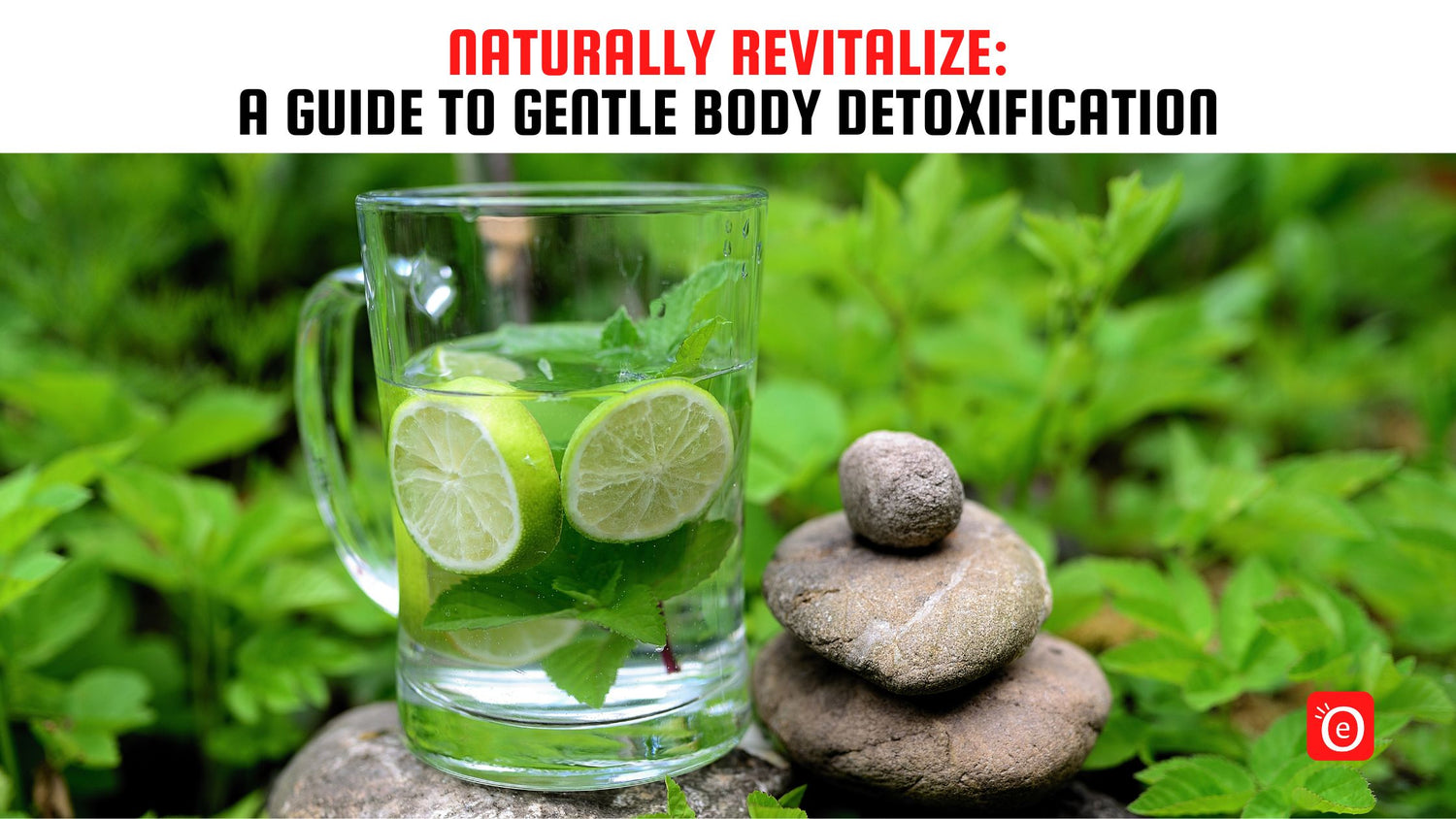 Naturally Revitalize: A Guide to Gentle Body Detoxification – eOURmart.com