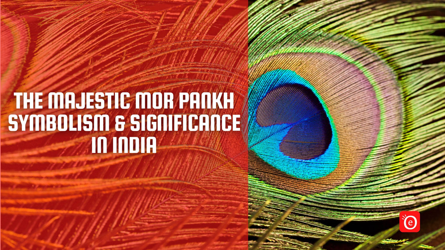 Best Quality Mor Pankh Online in India | Symbolism and Significance ...