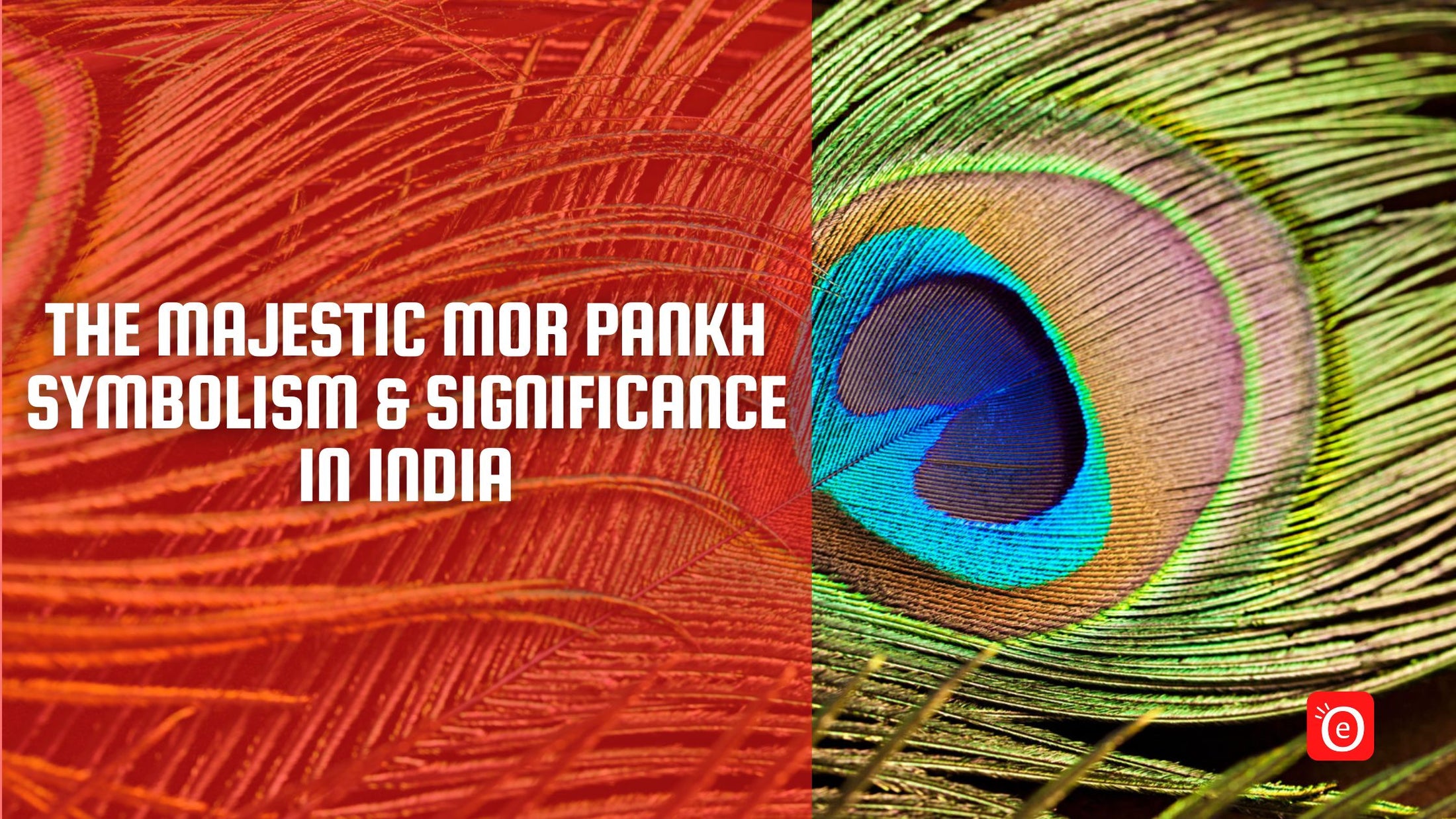 Best Quality Mor Pankh Online in India | Symbolism and Significance ...