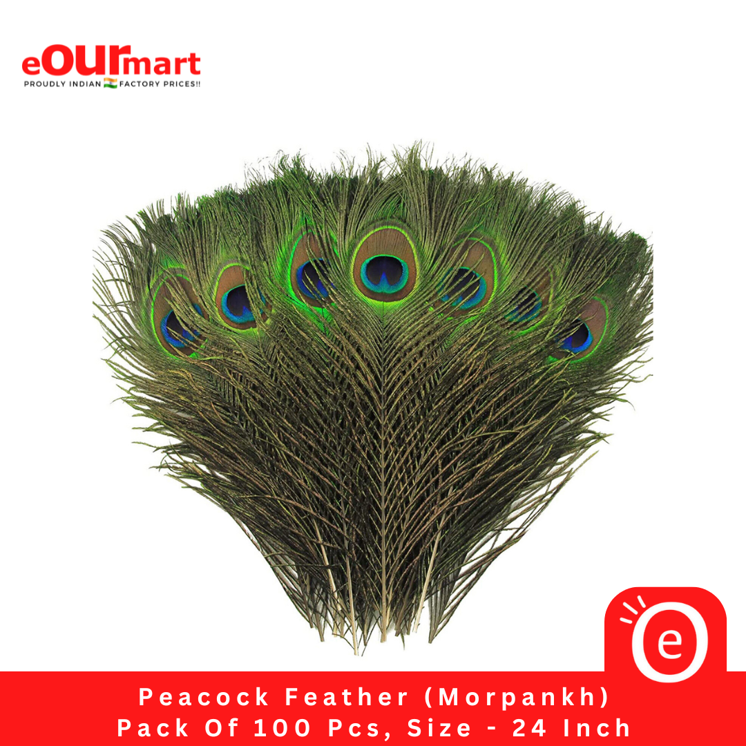 Buy Natural Peacock Feather 24 Inch, (Morpankh) Online in India at Best ...